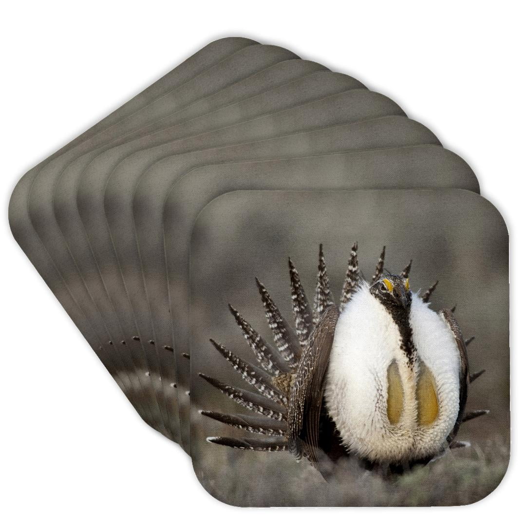 3drose, Greater Sage Grouse Bird, Foster Flats, Oregon - Us38 Rbr0065 ...