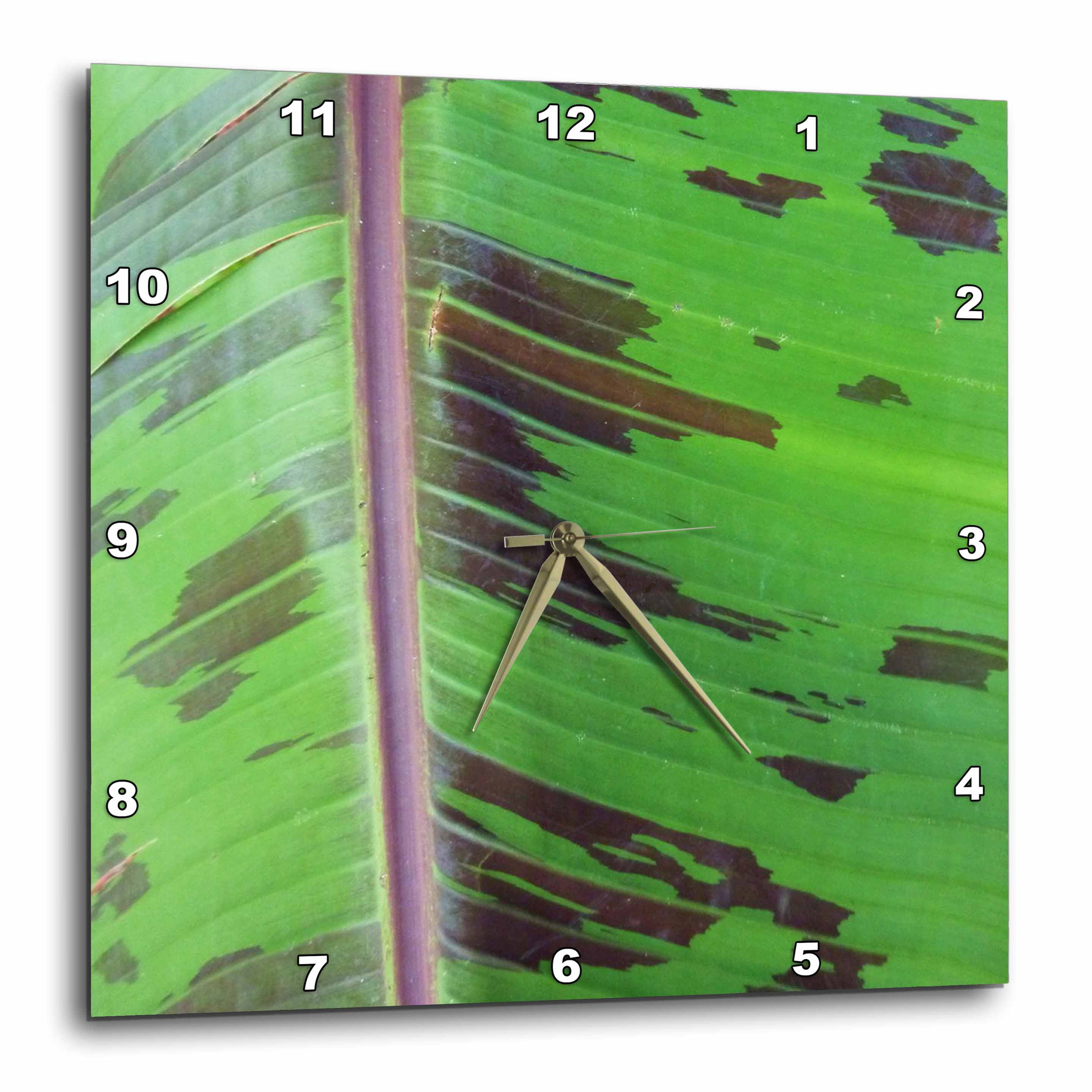 3drose, Green Black Macro Banana Leaf, 13x13 Wall Clock - Walmart.com