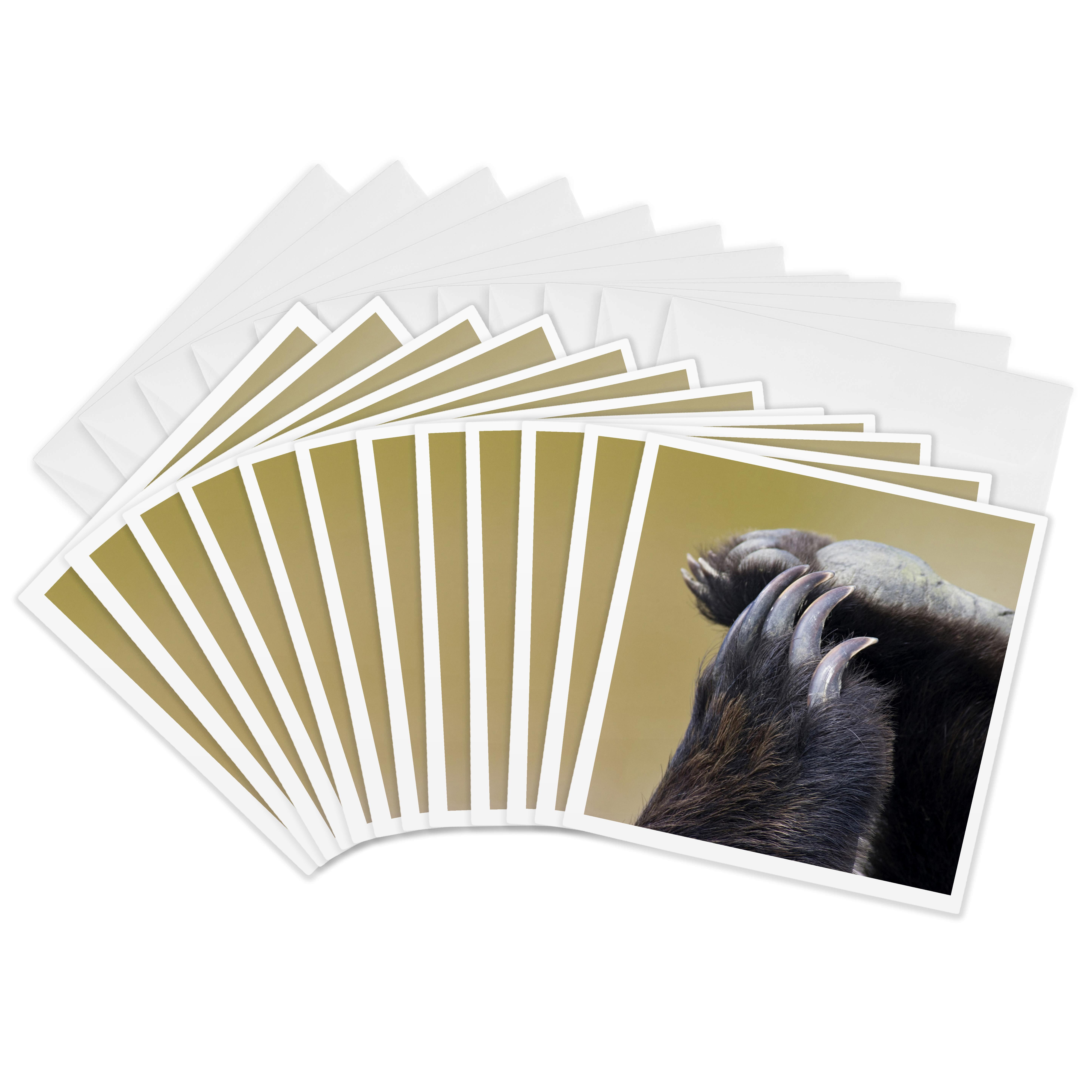 3drose, Grizzly Bear Paws and Claws - Us02 Jgs0037 - Jim Goldstein, 12 Greeting Cards with ...