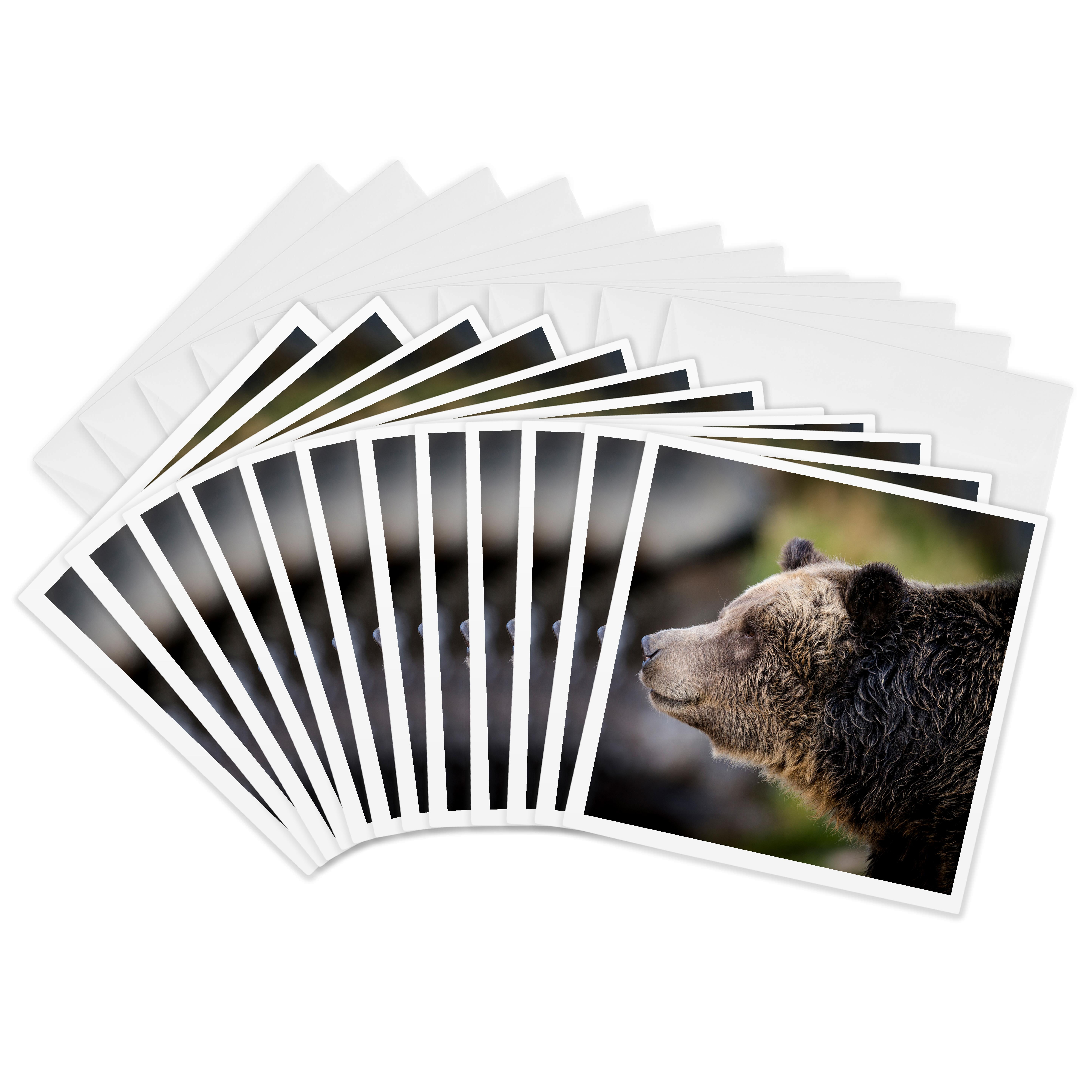 3drose, Grizzly Bear Profile, Ursus Arctos, West Yellowstone, Montana, 12 Greeting Cards with ...