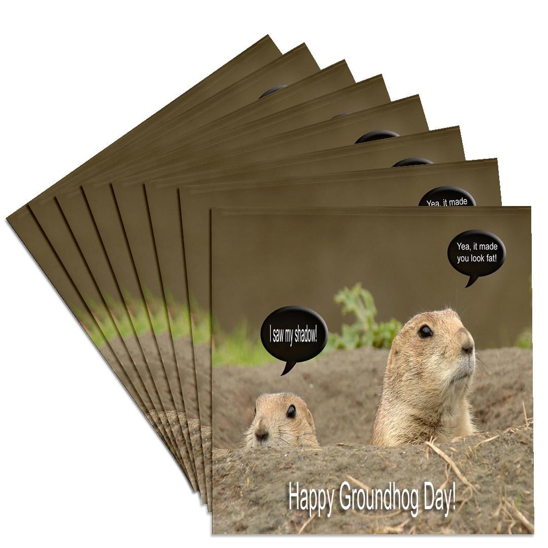 3drose, Groundhog I Saw My Shadow, Set of 8 Ceramic Tile Coasters ...