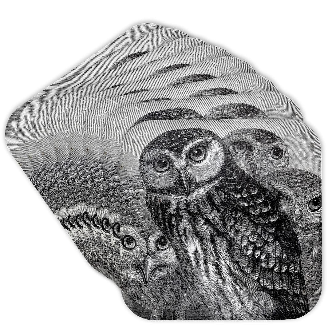 3drose, Group of Four Owls - Black and White Owl Engraving Etching ...