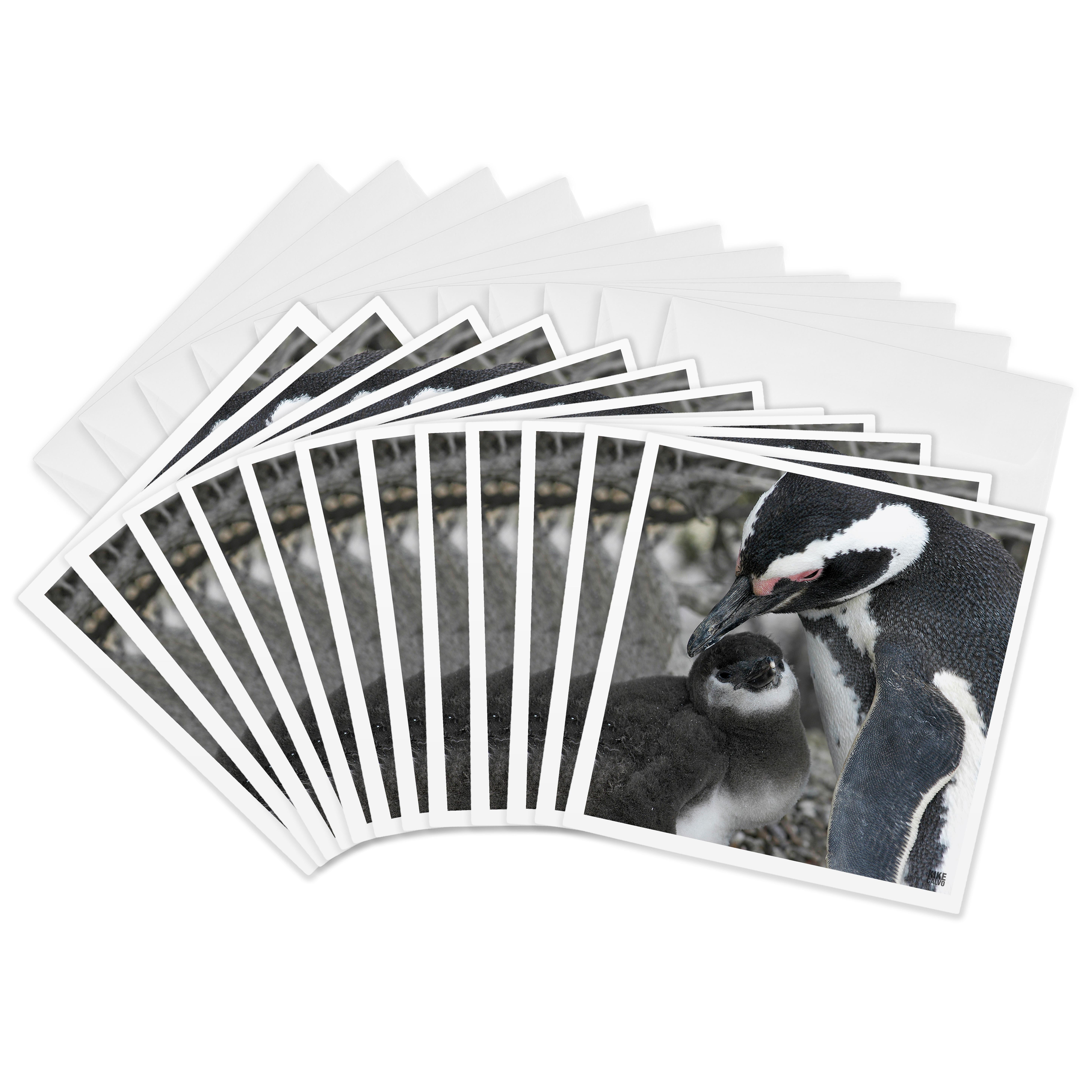 3drose, Half a Million Magellanic Penguins Arrive at the Patagonia ...