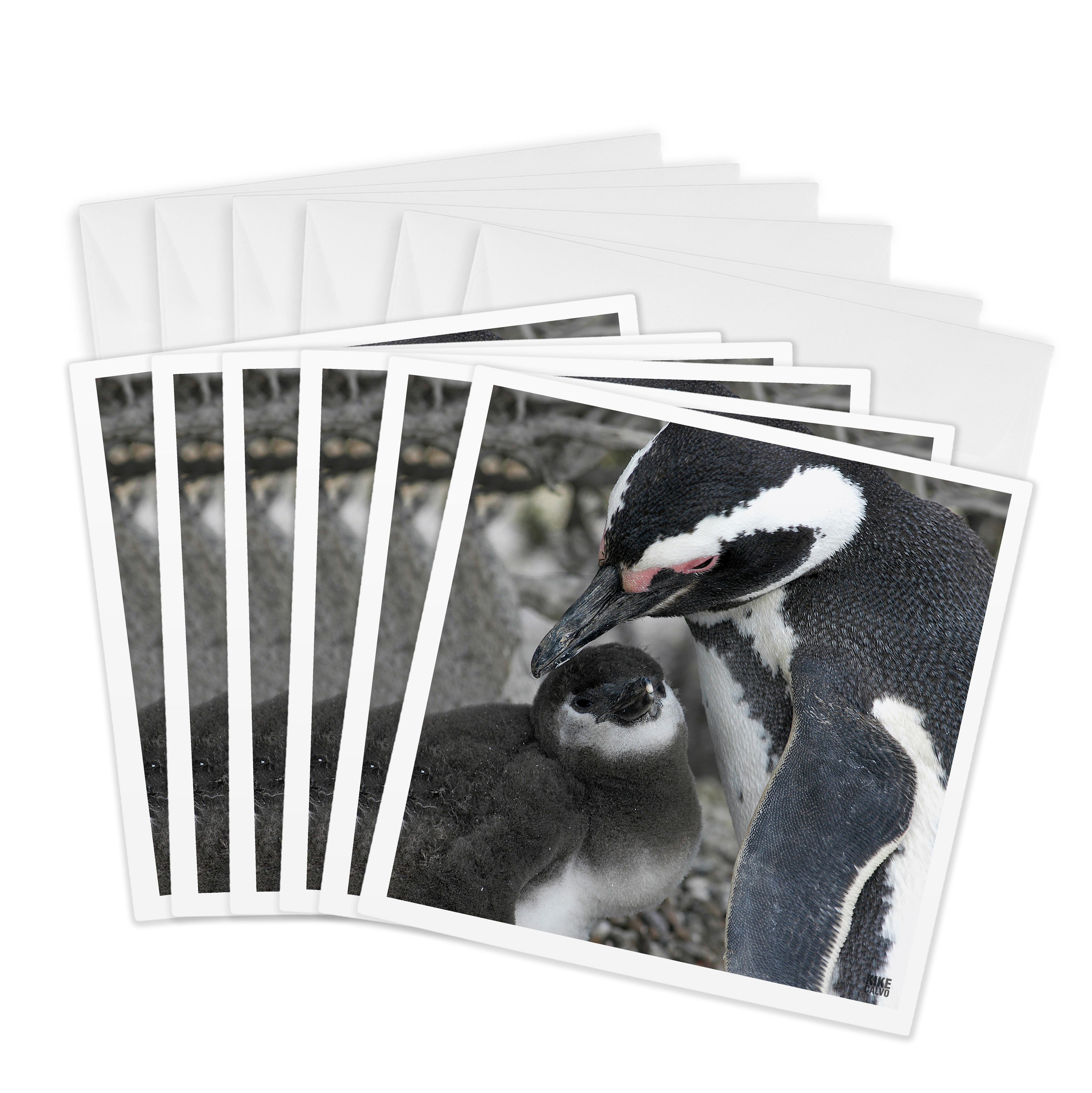 3drose, Half a Million Magellanic Penguins Arrive at the Patagonia ...