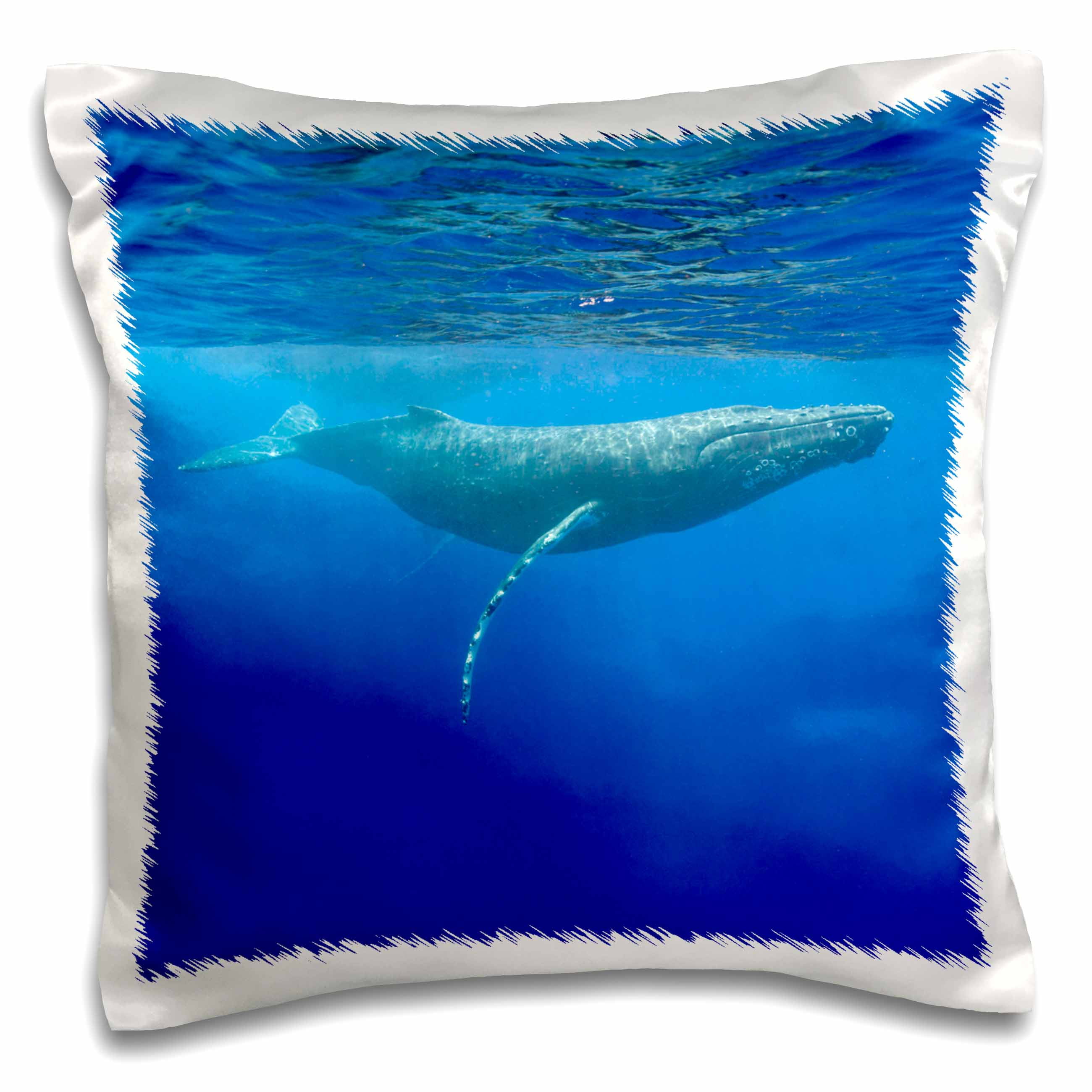 3drose, Hawaii, Big Island, Humpback Whale - Us12 Pso0028 - Paul ...