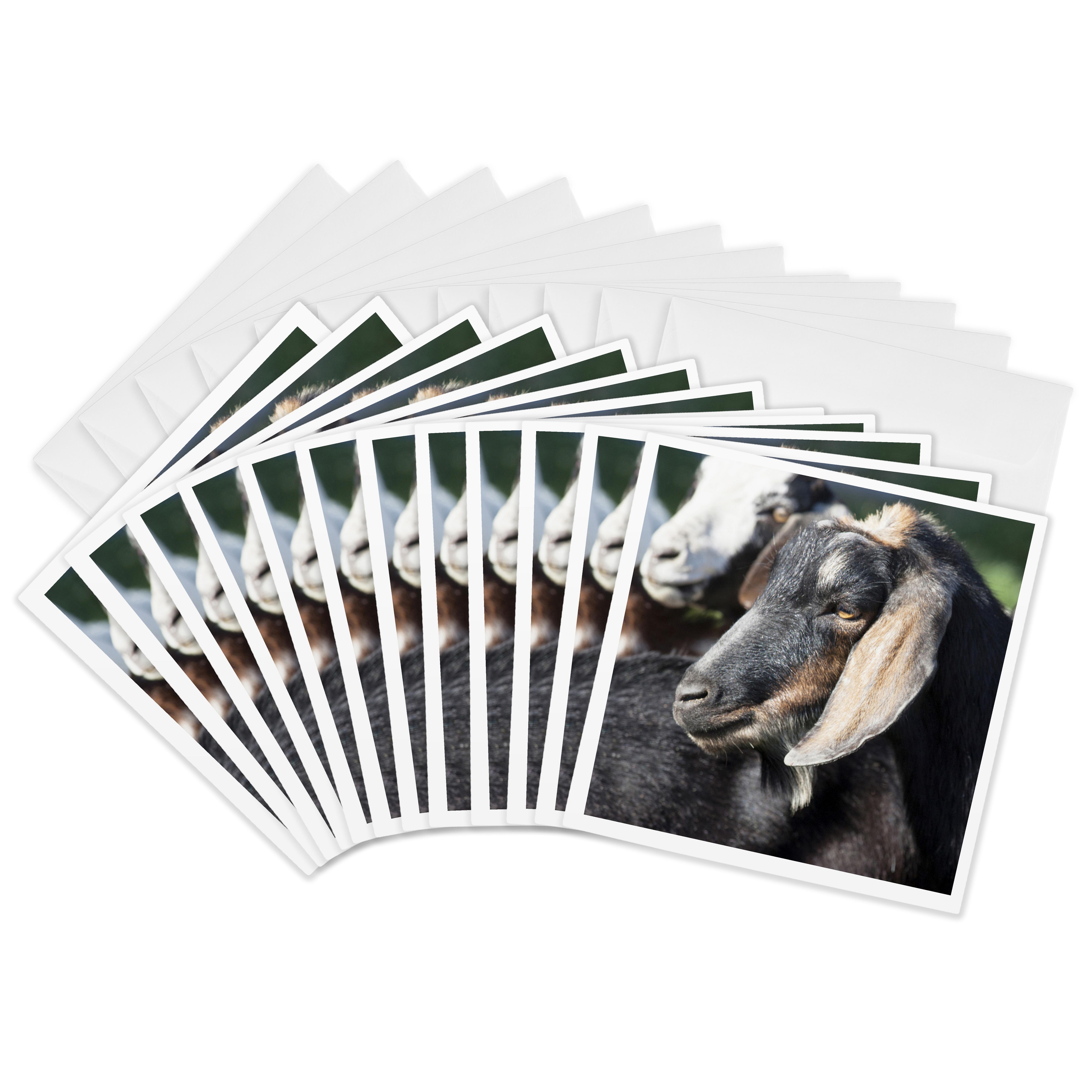 3drose, Head of Black and Tan Domestic Goat - Na02 Pwo0016 - Piperanne ...