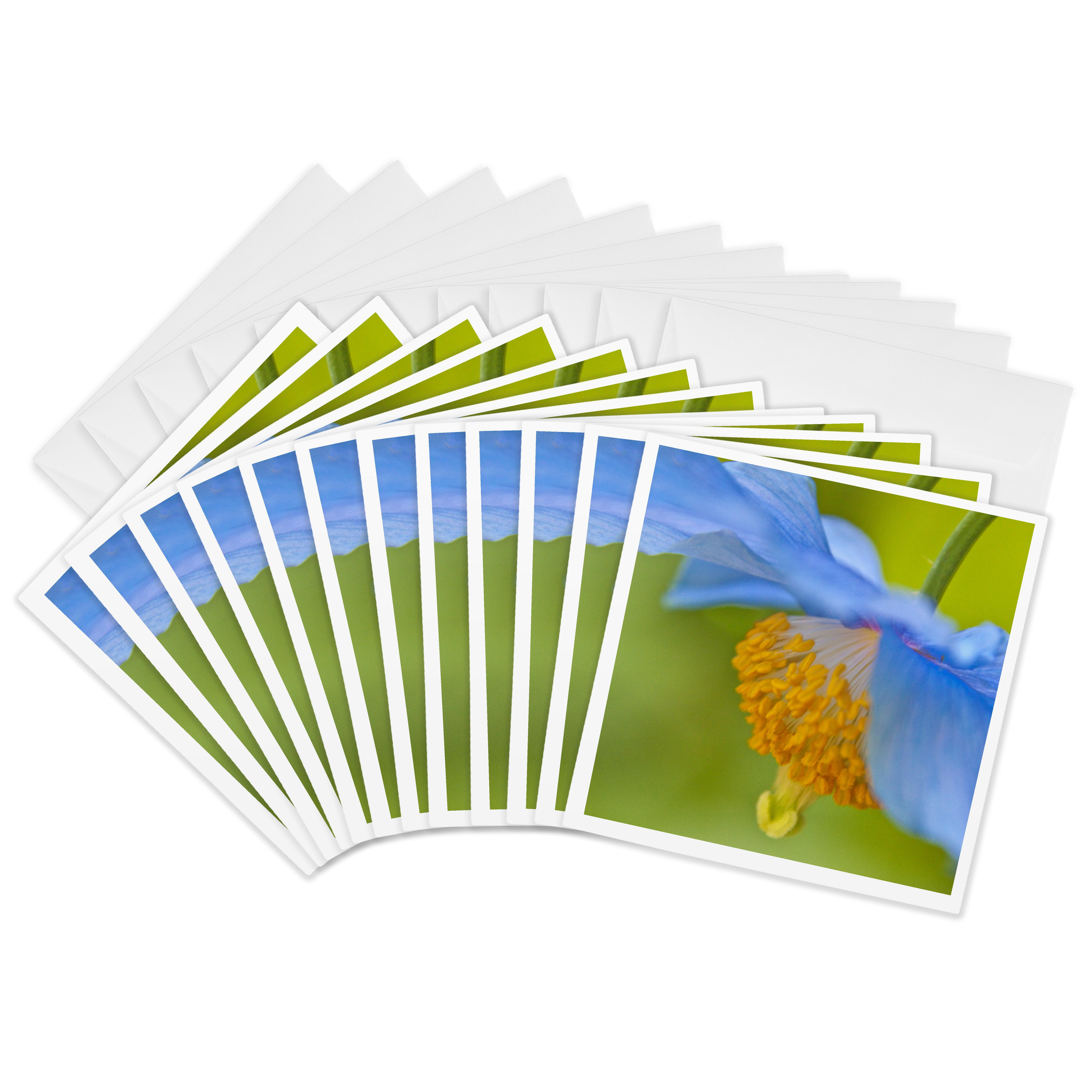 3drose, Himalayan Blue Poppy Flower, British Columbia - Cn02 Teg0039 ...