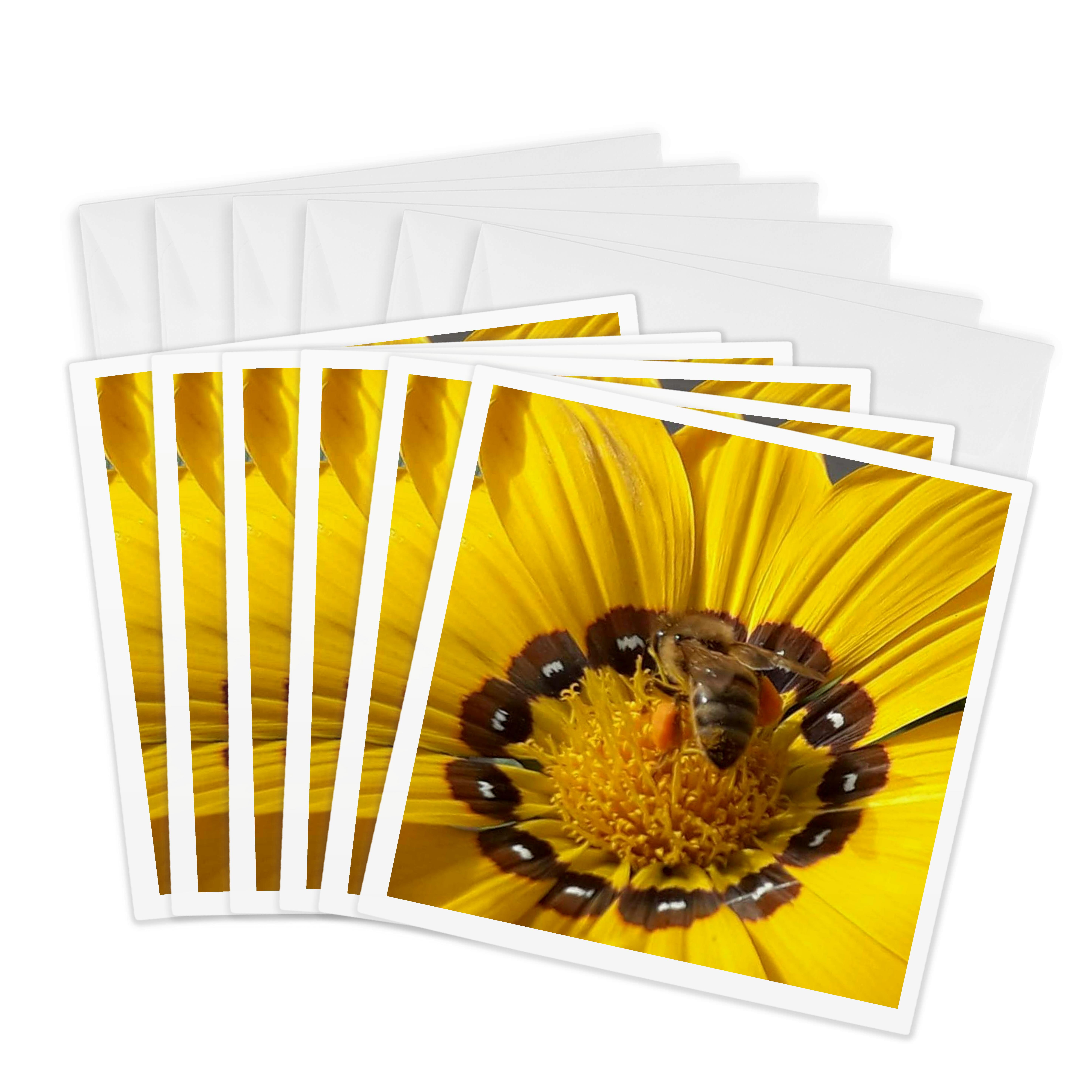 3drose, Honey Bee Collecting Pollen on a Gazania Flower, 6 Greeting ...