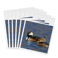 3drose, Hooded Merganser Pair, 6 Greeting Cards with Envelopes ...