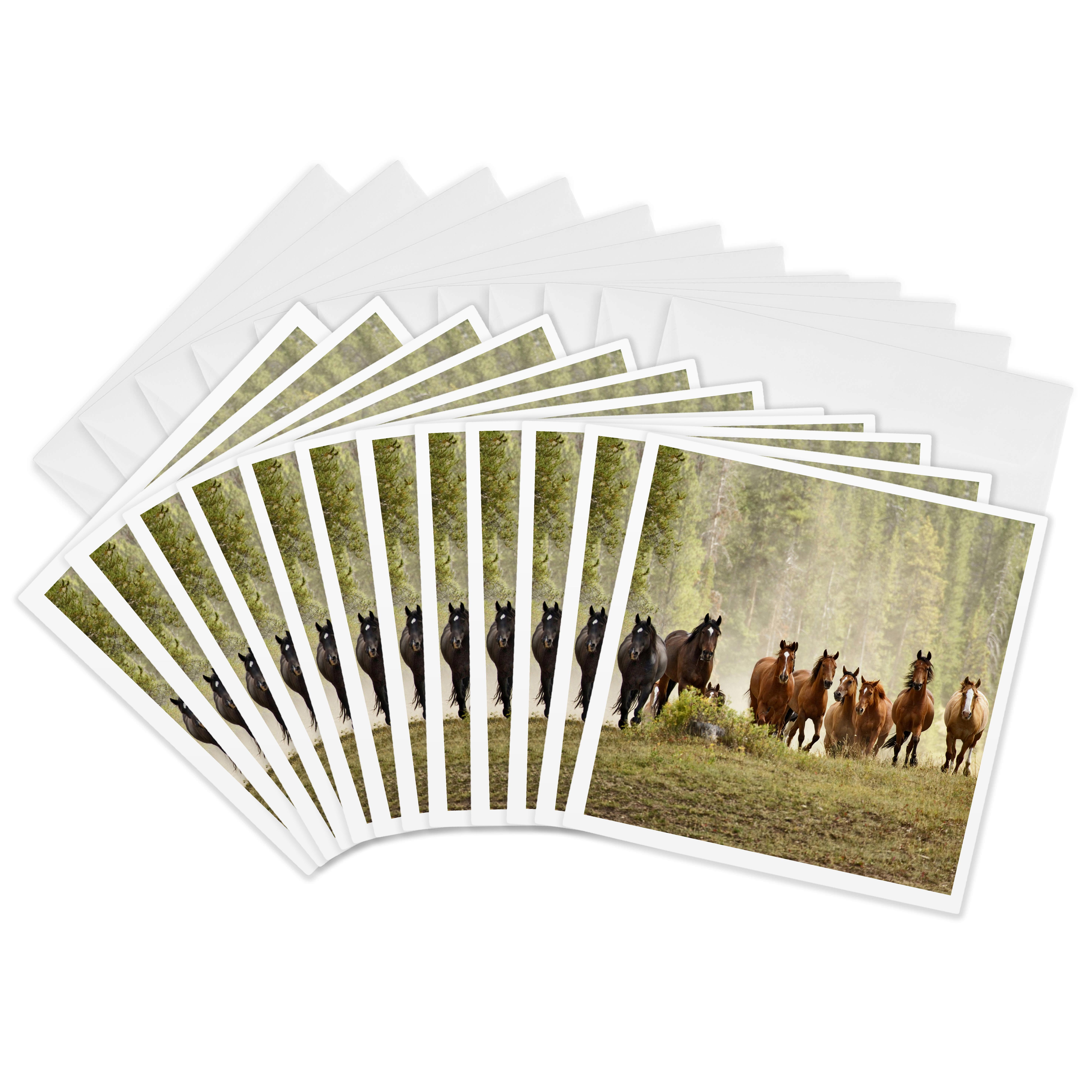 3drose, Horses Cresting Small Hill During Roundup, Montana - Us27 ...