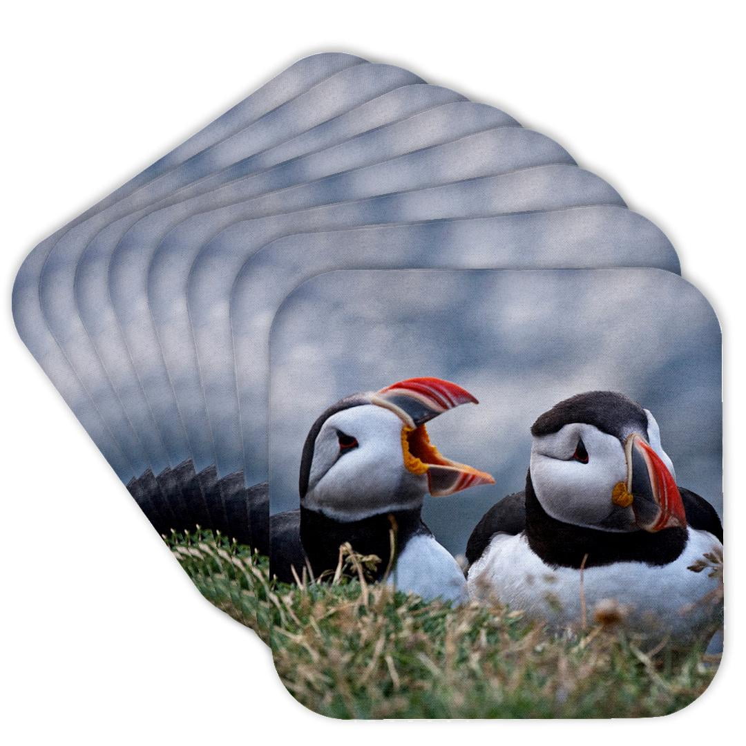 3drose, Iceland, Breidavik, Puffins, Set of 8 Coasters - Cork - Walmart.com