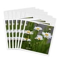 3drose, Ilove Spring - White Daisies - Flowers - Photography, 6 ...