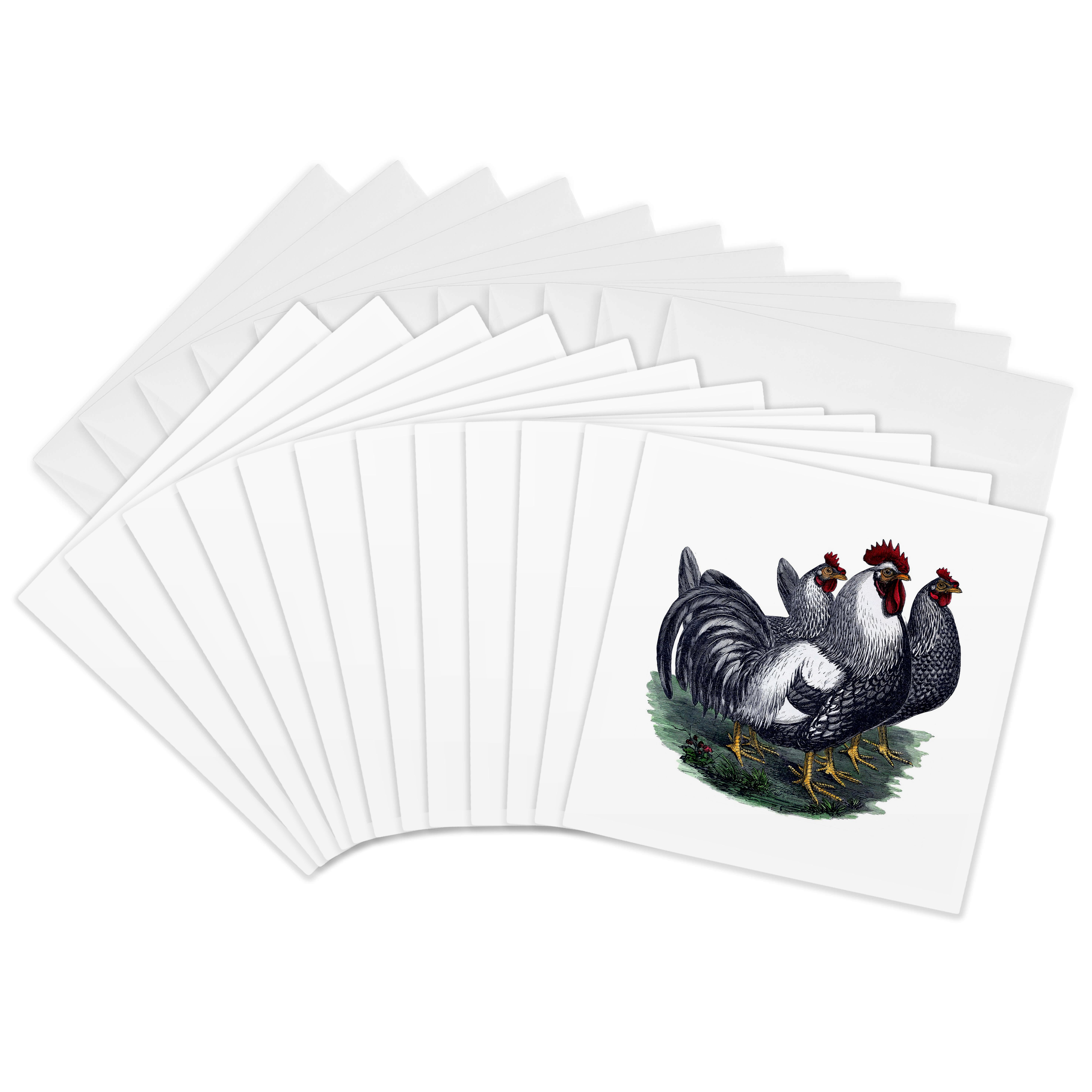 3drose, Image of 3 Black and White Roosters on Grass Patch, 12 Greeting ...