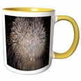 3drose, Image of Huge Round Burst of Gold and White Fireworks Closeup ...