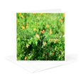 3drose, Image of Orange Flower Shrub Blur, 1 Greeting Card with ...