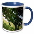 3drose, Image of Photo of Tree Multipled in Artistic Style Blur, 11oz ...