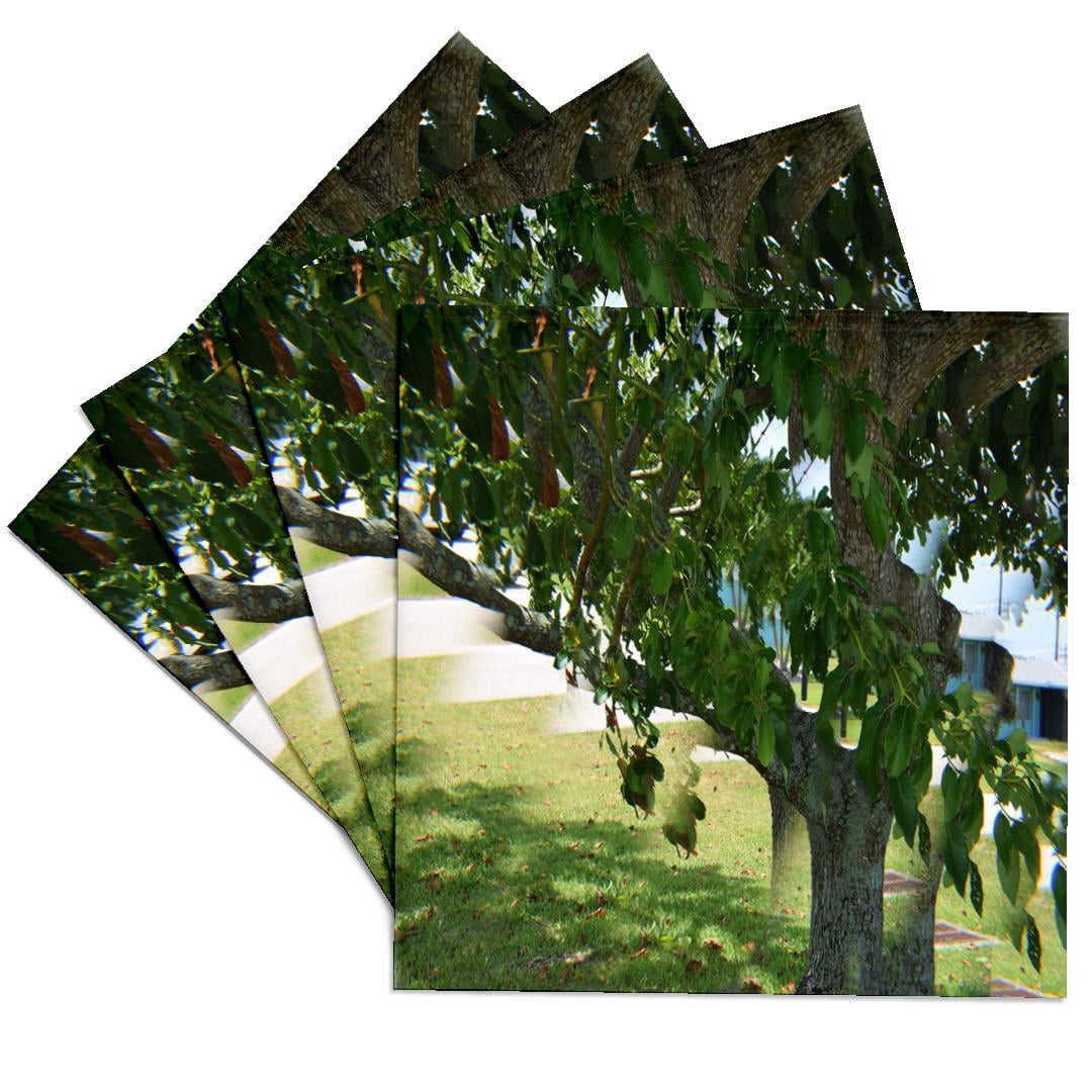 3drose, Image of Photo of Tree Multipled in Artistic Style Blur, Set of ...