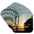 3drose, Image of Sunset Behind Trees, Set of 8 Coasters - Cork ...
