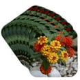 3drose, Image of a Red and Gold Lantana Flower, Set of 8 Coasters ...