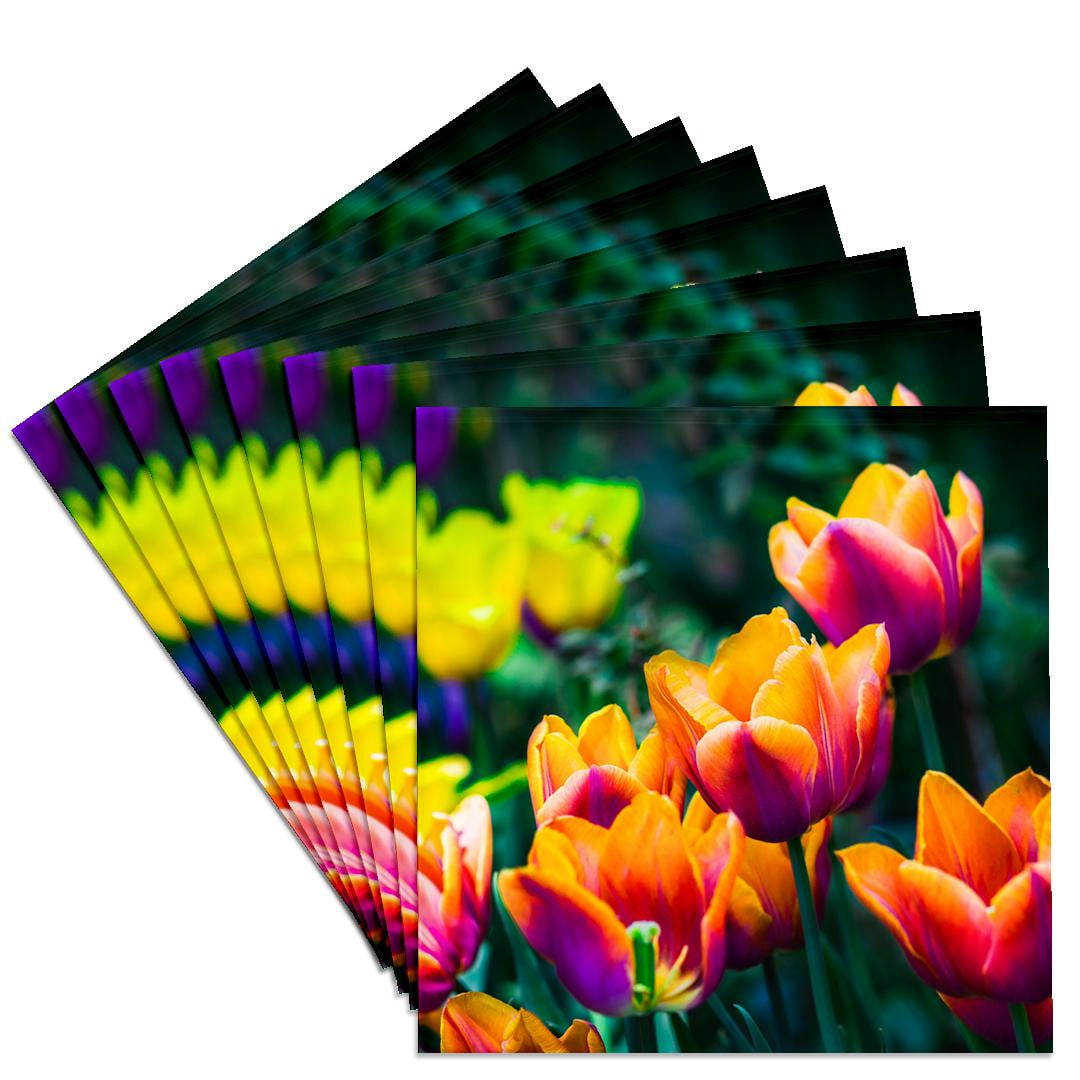 3drose, Impressive Orange, Purple Tulips on a Flowerbed, Colors of ...