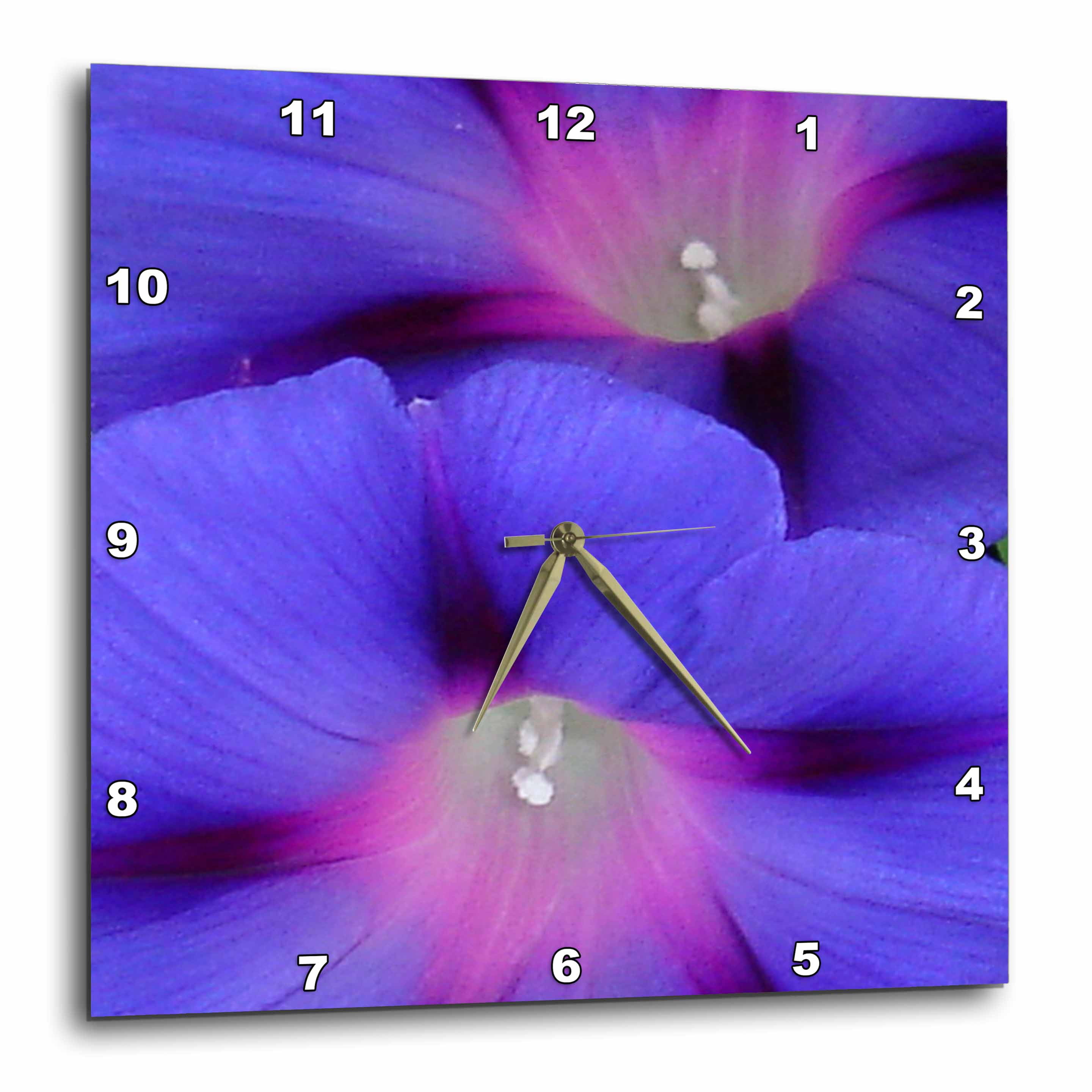 3drose, Indigo -blue - Bindweed, Ipomoea, Morning Glory, Purple ...