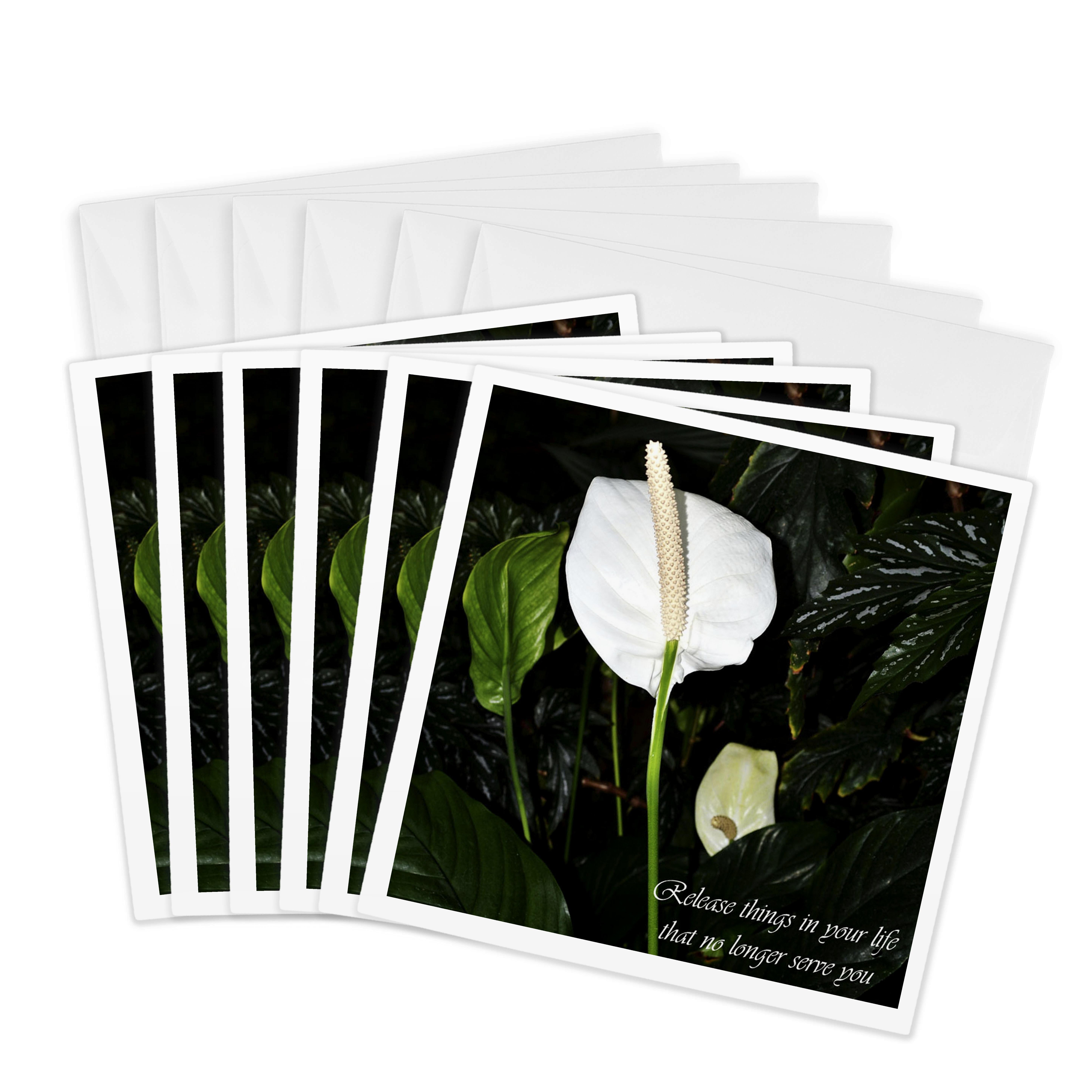 3drose, Inspirational Flower Print, 6 Greeting Cards with Envelopes ...