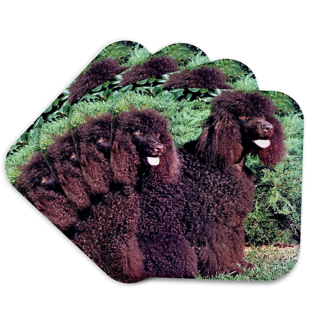 3drose, Irish Water Spaniel, Set of 4 Coasters - Soft - Walmart.com