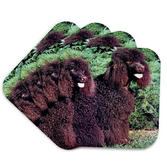 3drose, Irish Water Spaniel, Set of 4 Coasters - Soft - Walmart.com