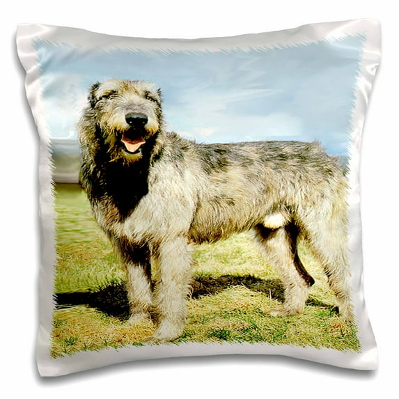 3drose, Irish Wolfhound, 16x16 inch Pillow Case - Walmart.com