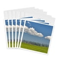 3drose, Italy, Tuscany. View of Long Rows of Cypress Trees, 6 Greeting ...