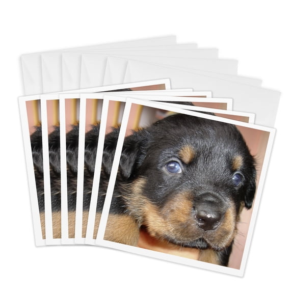 3drose, Its a Boy. - Rottweiler, Rottweilers, Rottie, Rottie Owner ...