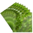 3drose, Japanese Maple Branches., Set of 8 Ceramic Tile Coasters ...