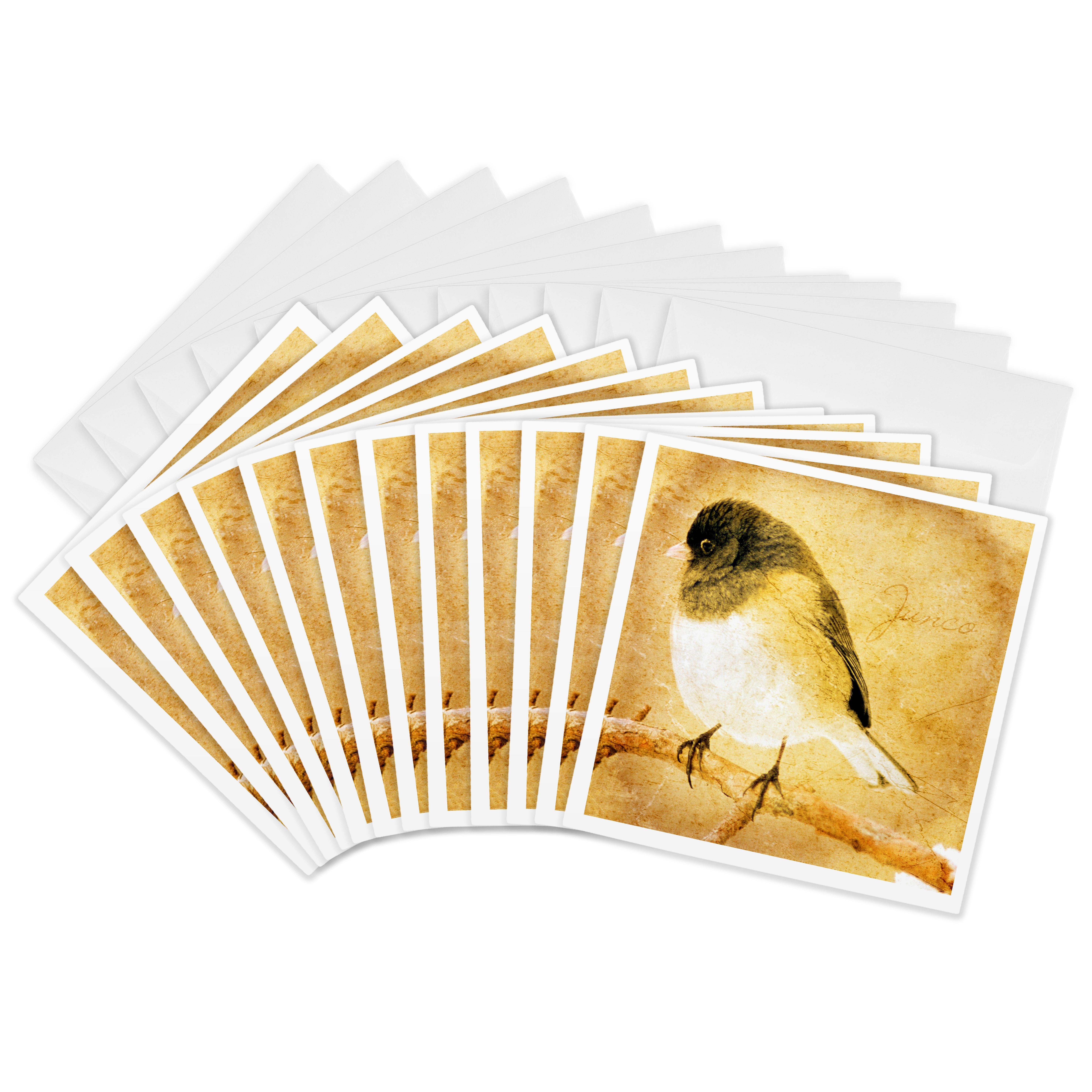 3drose, Junco Bird 2, 12 Greeting Cards with Envelopes - Walmart.com