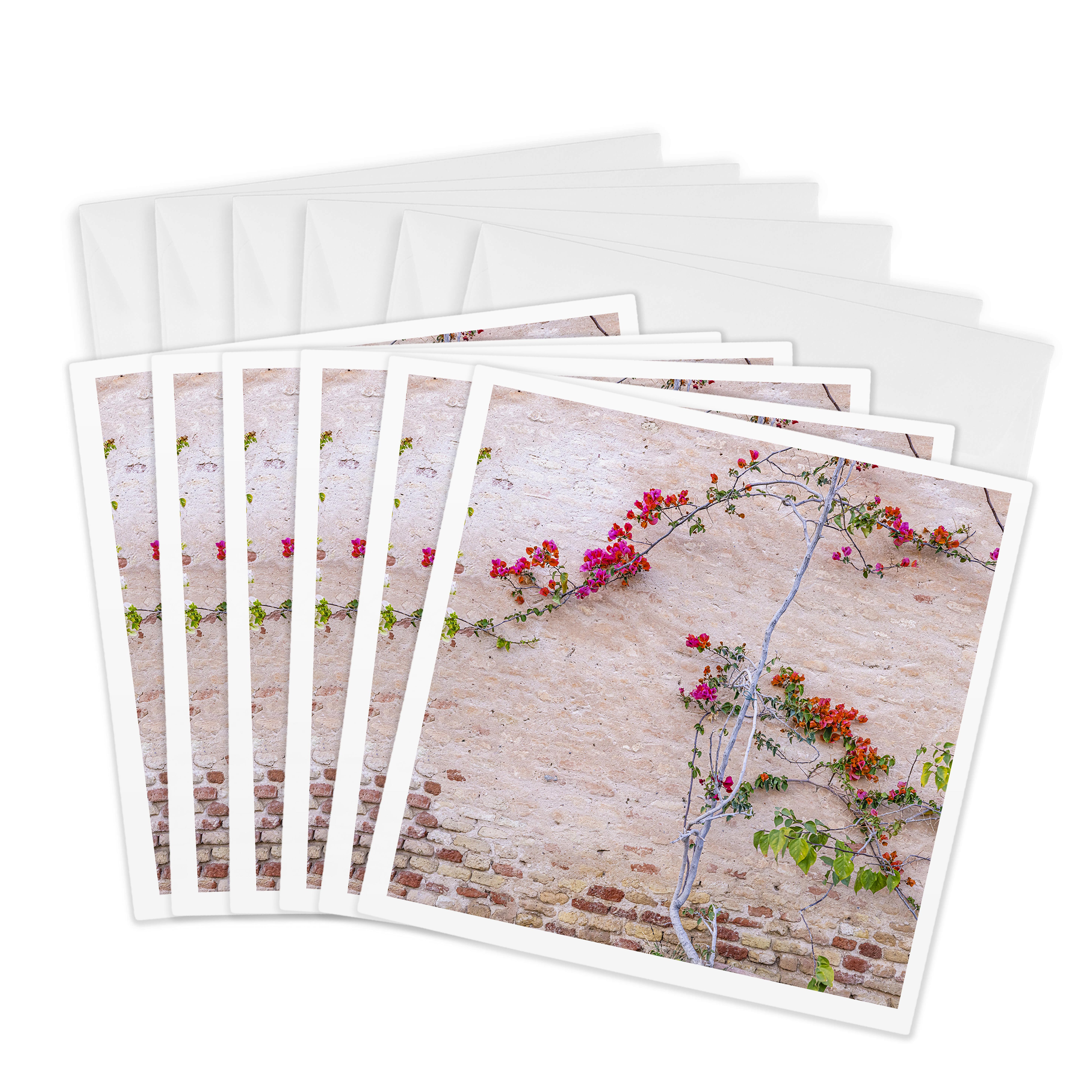 3drose, Kairouan, Tunisia. Flowers Against a Wall in the City, 6 ...