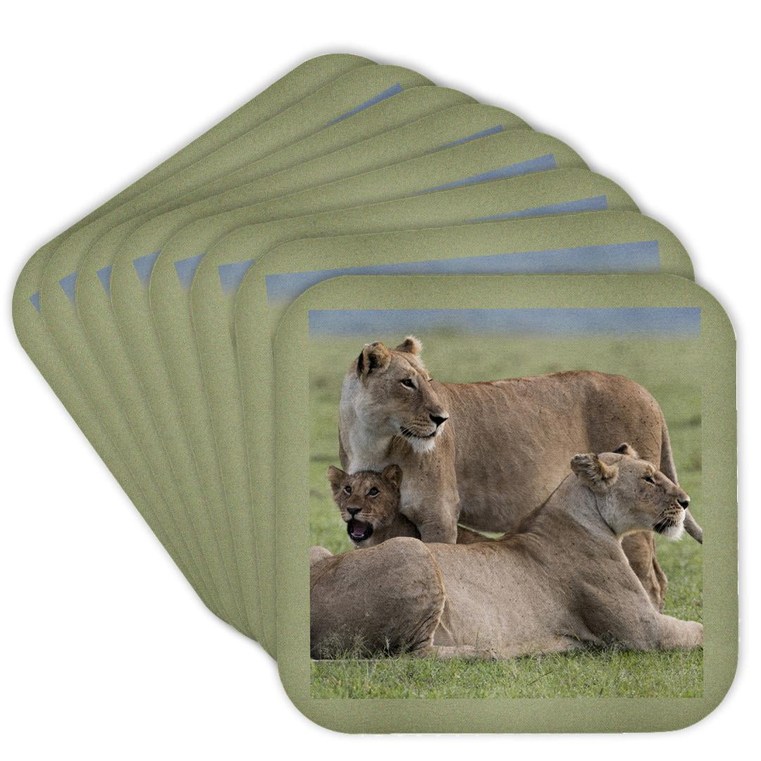 3drose, Kenya, Maasai Mara National Reserve. Female Lions and Cub, Set ...