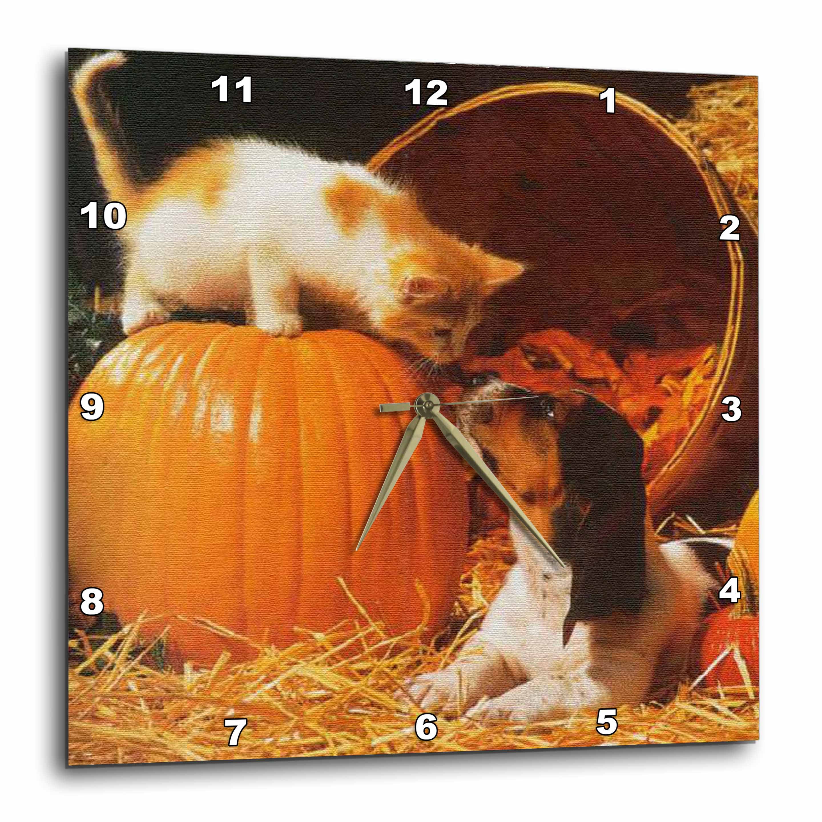 3drose, Kitten, Puppy and Pumpkin on Canvas, 15x15 Wall Clock - Walmart.com