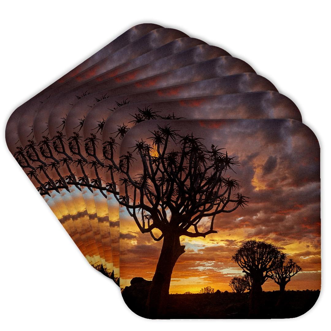 3drose, Kokerboom or Quiver Trees at Sunset, Mesosaurus Fossil Camp ...