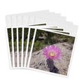 3drose, Lace Cactus Succulent Flower, Texas - Na02 Rnu0174 - Rolf ...