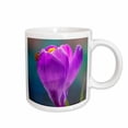 3drose, Lady Bug on Crocus Flower., 15oz Mug - Walmart.com