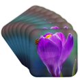 3drose, Lady Bug on Crocus Flower., Set of 8 Coasters - Cork - Walmart.com
