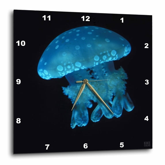 3drose, Lagoon Jellyfish, Mastigias, 10x10 Wall Clock - Walmart.com