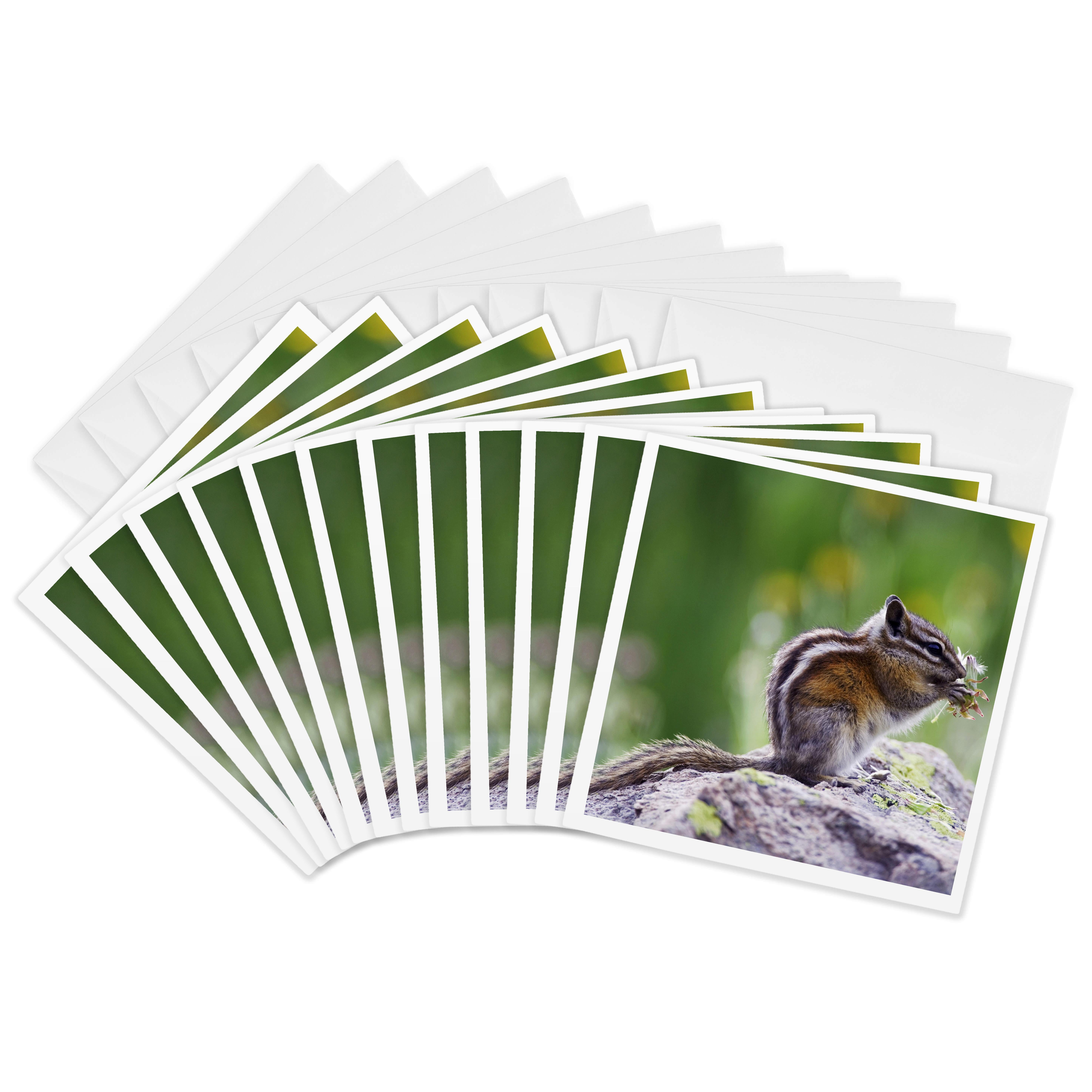 3drose, Least Chipmunk Wildlife, San Juan Mountains, Co - Us06 Rnu0051 ...