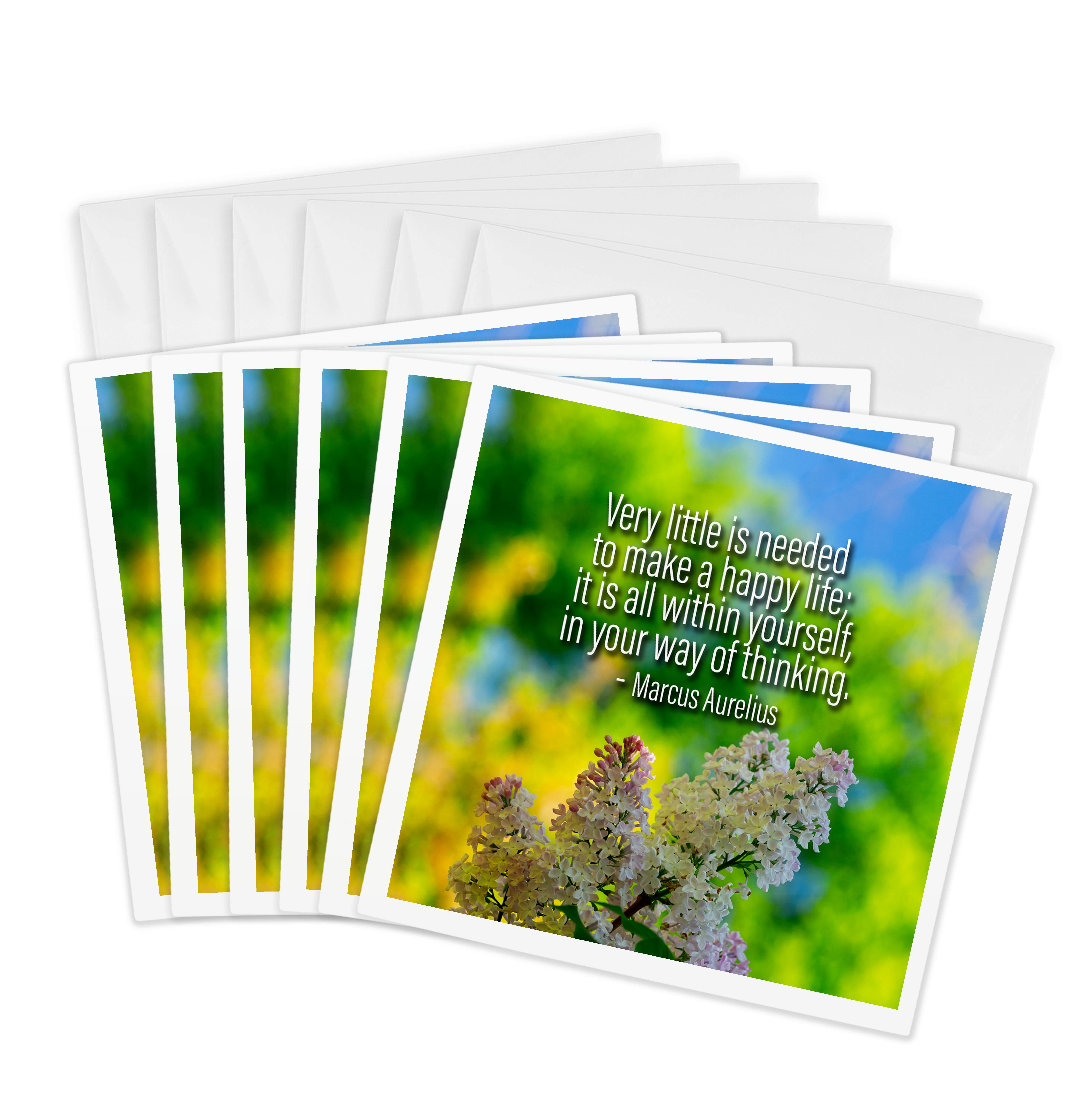 3drose, Lilac Flowers. Marcus Aurelius Quote Very Little Is Needed to ...