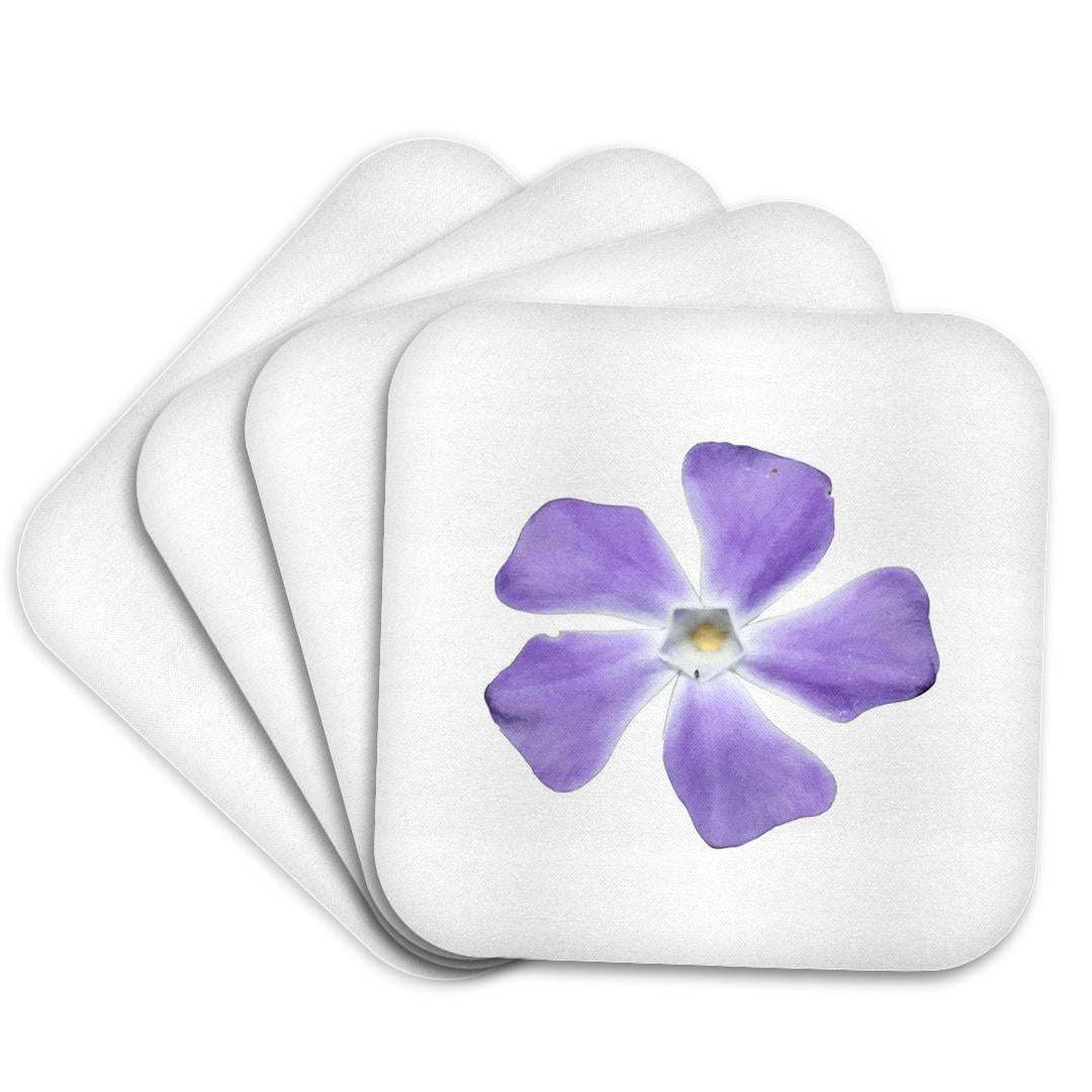 3drose, Lilac Periwinkle Flower Vector Cut Out, Set of 4 Coasters ...