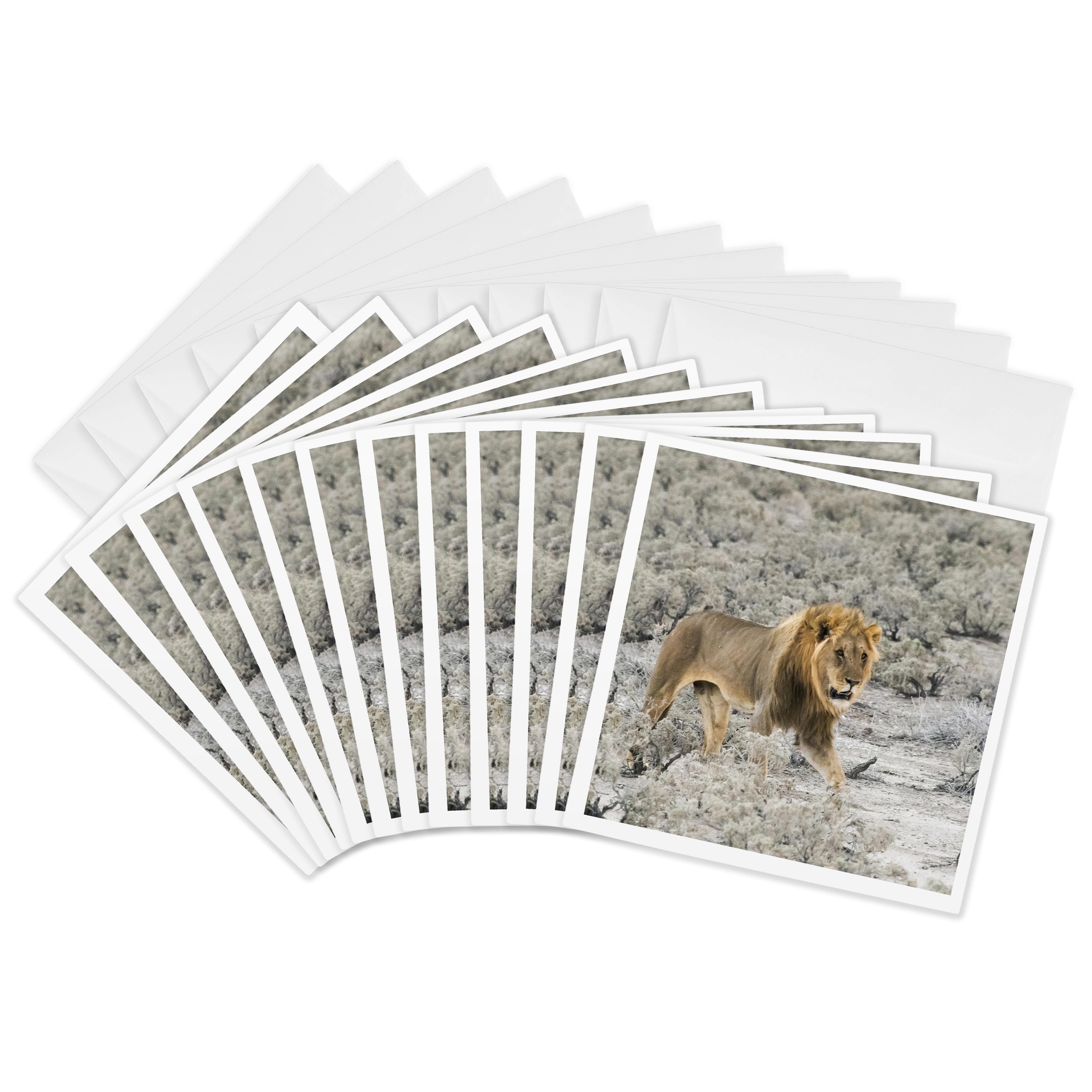 3drose, Lion in Etosha Np. Oshikoto Region, Namibia., 12 Greeting Cards ...
