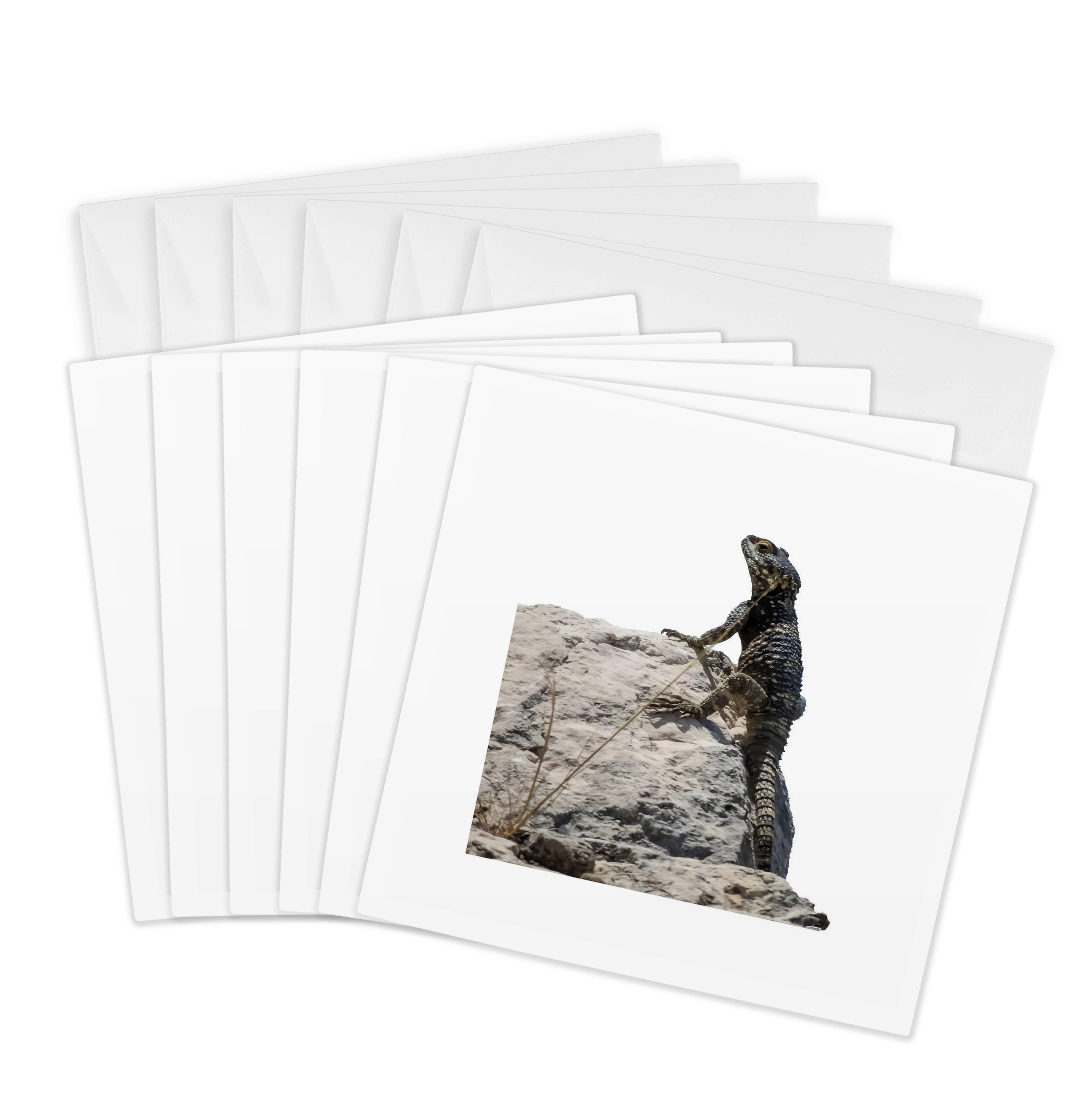 3drose, Lizard Sunbathing on a Rock Vector, 6 Greeting Cards with ...
