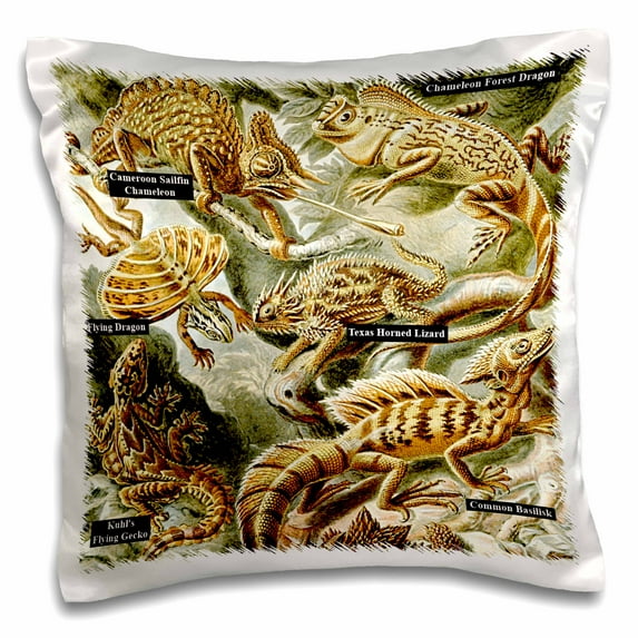 3drose, Lizards and Reptiles with Name Labels Reptile Identification ...