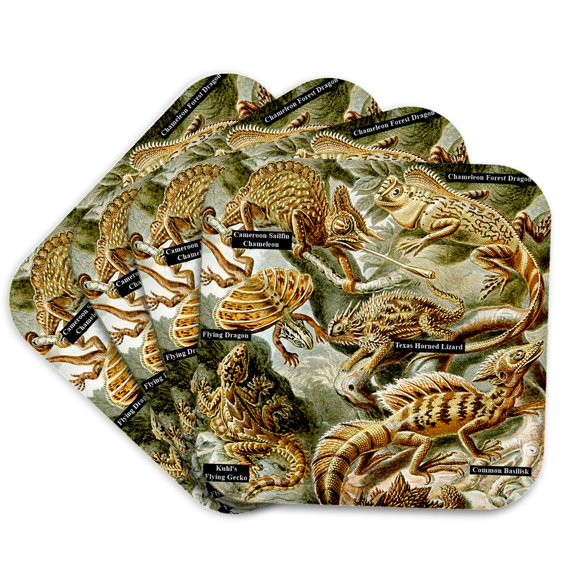 3drose, Lizards and Reptiles with Name Labels Reptile Identification ...