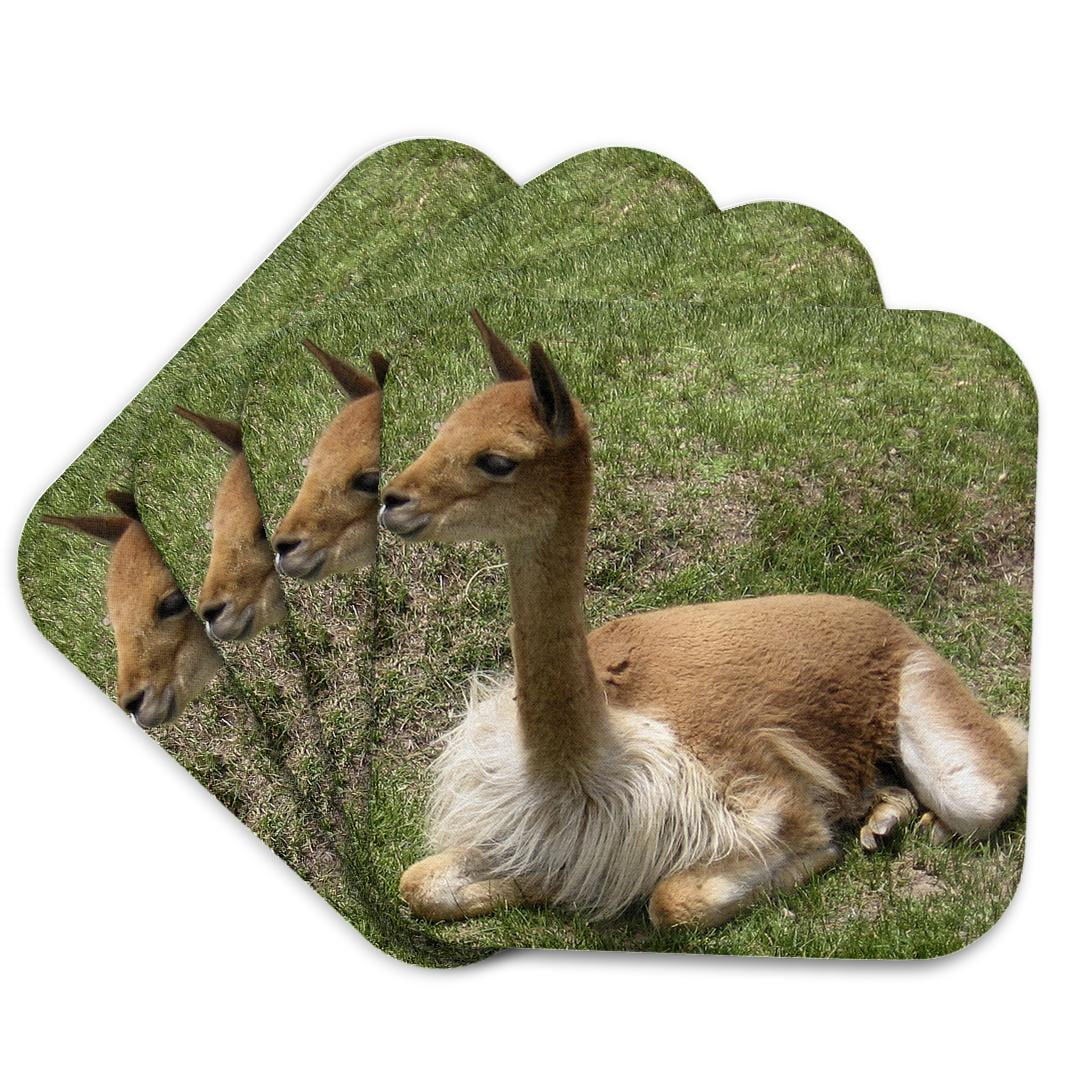3drose, Llama in Peru Travel Photography Animals, Set of 4 Coasters ...