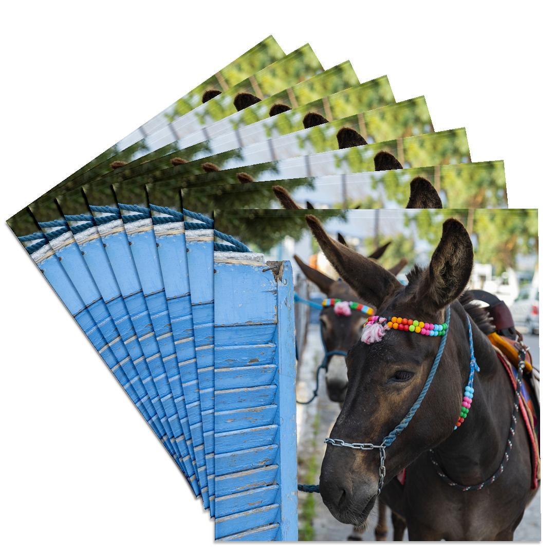 3drose, Local Donkeys Tied up in Pyrgos, Santorini, Greece., Set of 8 ...